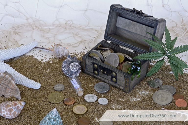 7 Tips to Decide if it's Trash or Treasure - Dumpster Dive 360